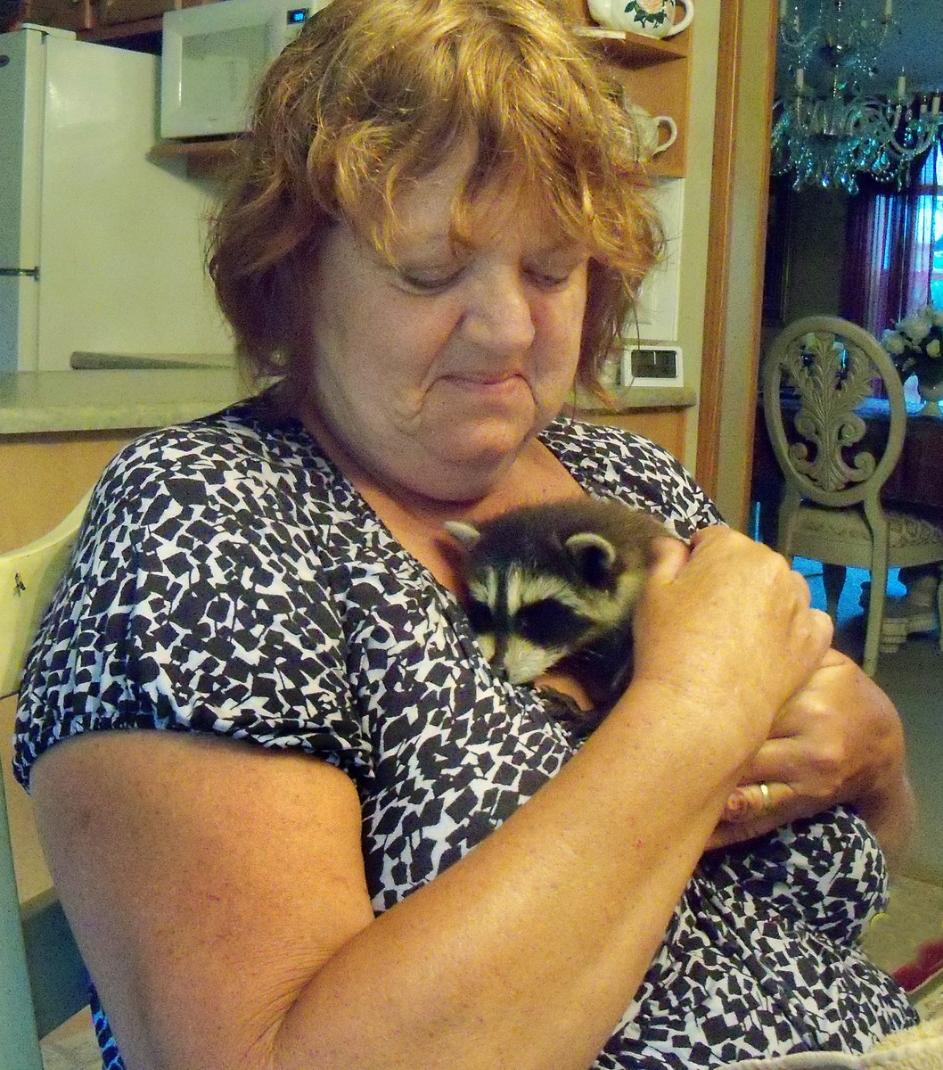 Eddingses care for young animals in need - The Leader Union