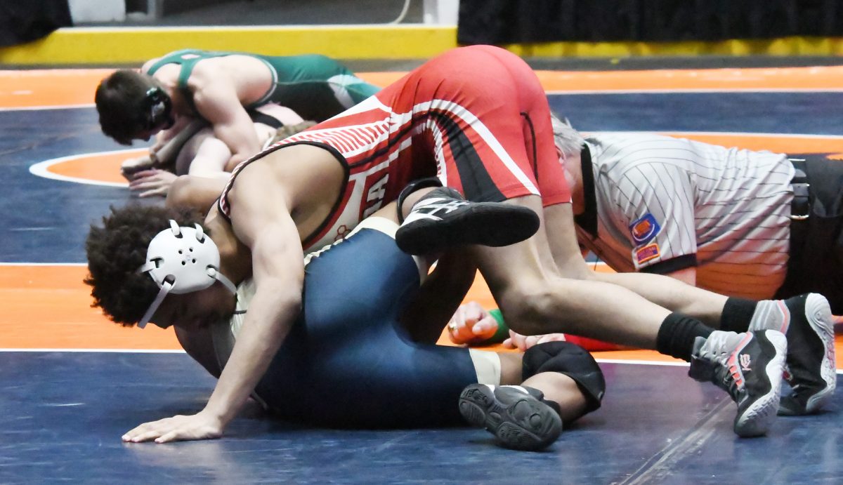 Vandals place 4th at state dual team finals - The Leader Union